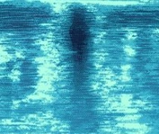 Don Freecss | Hunter × Hunter Book! | Fandom