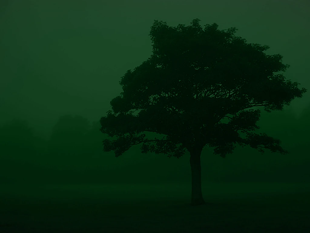 Tree Creeper | Hunter x Hunter Role Playing Game Wiki | Fandom