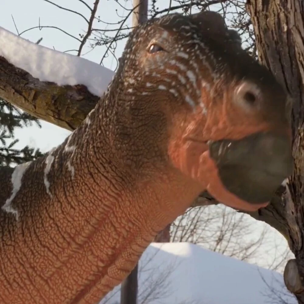 Ugrunaaluk | Hybrid-indoor Wiki | Fandom