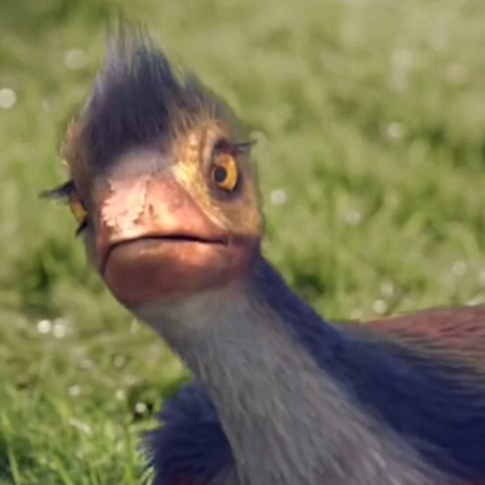 Microraptor | Hybrid-indoor Wiki | Fandom