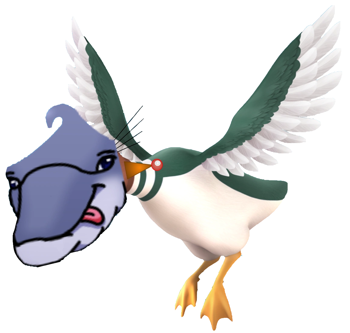 Dolphin-Duck Peckatta | Hybrid-indoor Wiki | Fandom