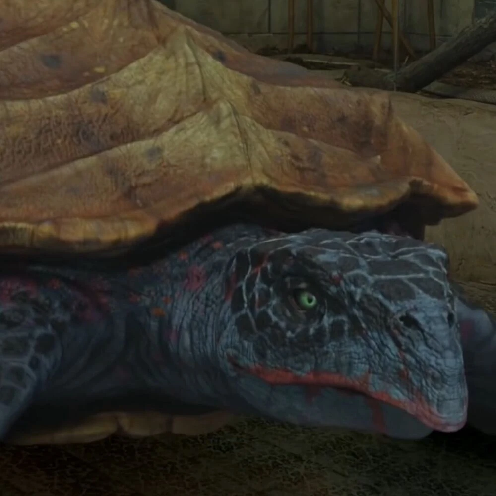 Archelon | Hybrid-indoor Wiki | Fandom