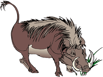 Hog | Hybrid-indoor Wiki | Fandom