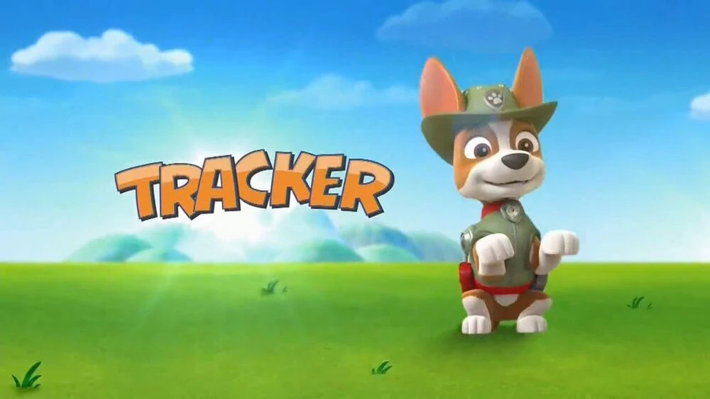 Tracker/Gallery | Hybrid-indoor Wiki | Fandom