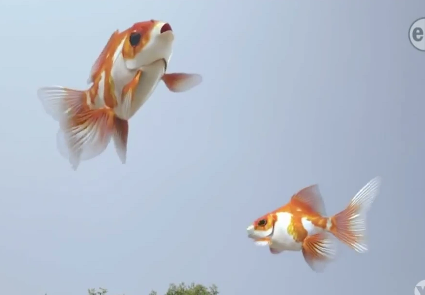 Flying Goldfish | Hybrid-Museum Ronald Wiki | Fandom