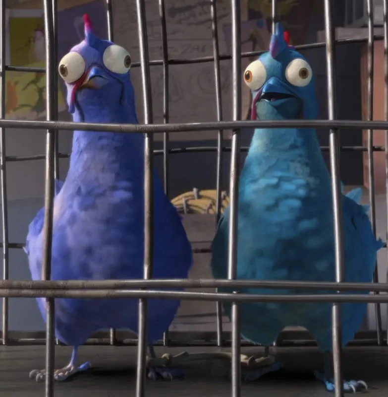 Blue Chickens | Hybrids Wiki | Fandom