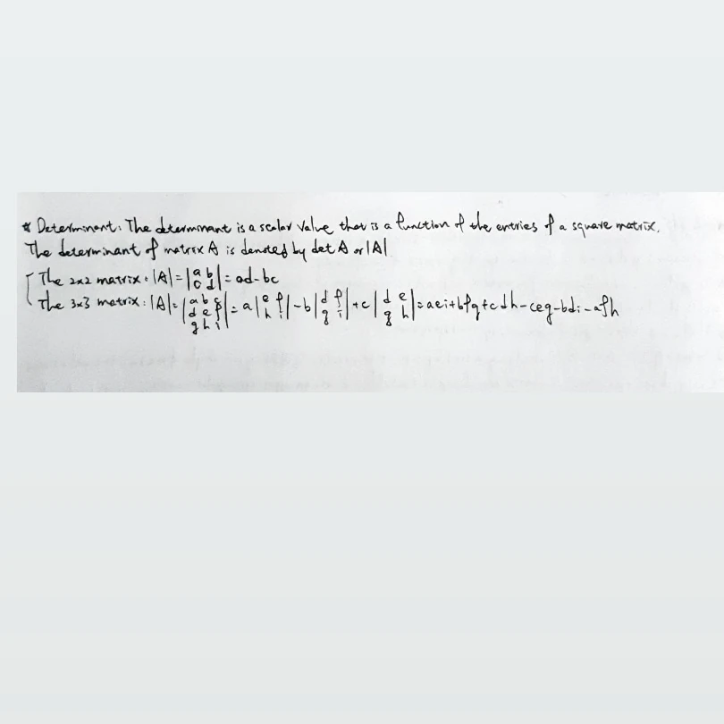 80. Determinant | My Wiki | Fandom