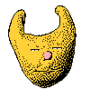 Wayne's Cat | Hylics Wiki | Fandom