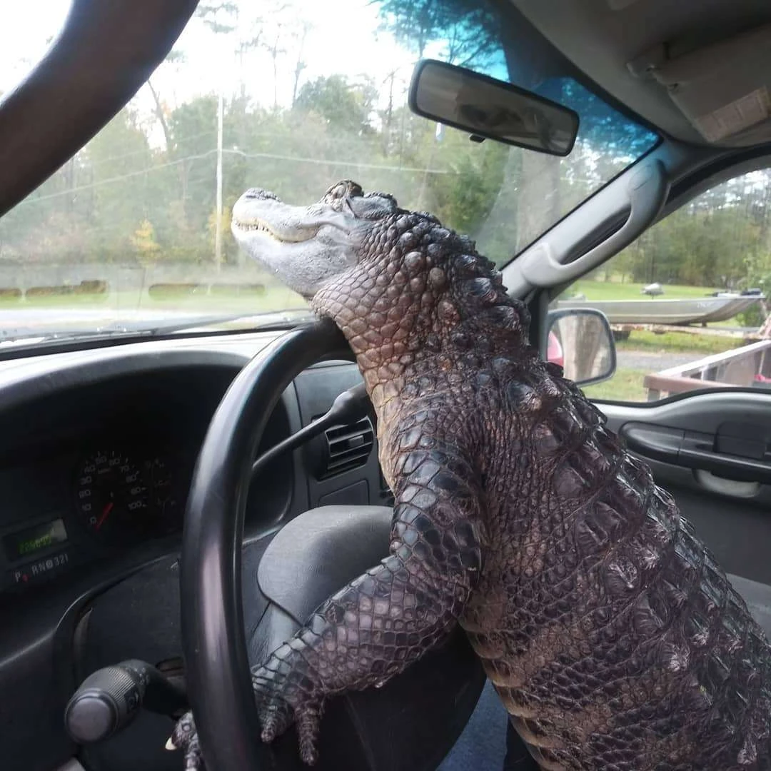 Suggestions page | Hyper Defense Agents Wiki | Fandom