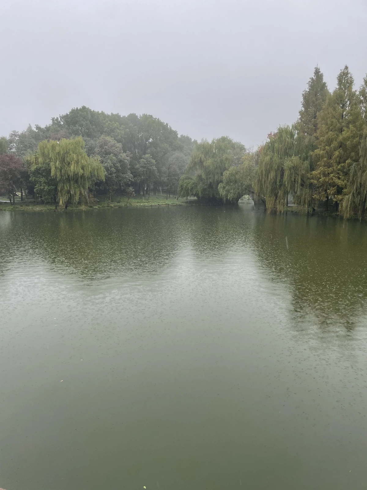 Stage 252：“雨夜追逐” | Hyperrooms Wiki | Fandom