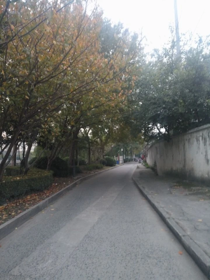 Stage 36: "回忆之路" | Hyperrooms Wiki | Fandom