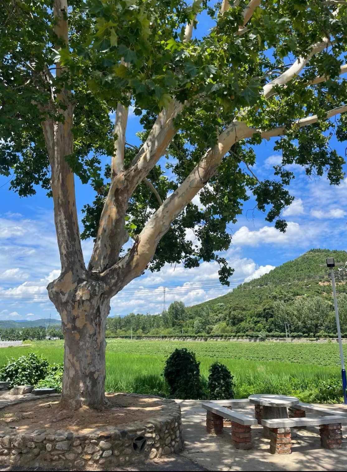 Stage 383: "夏天的…回忆…" | Hyperrooms Wiki | Fandom