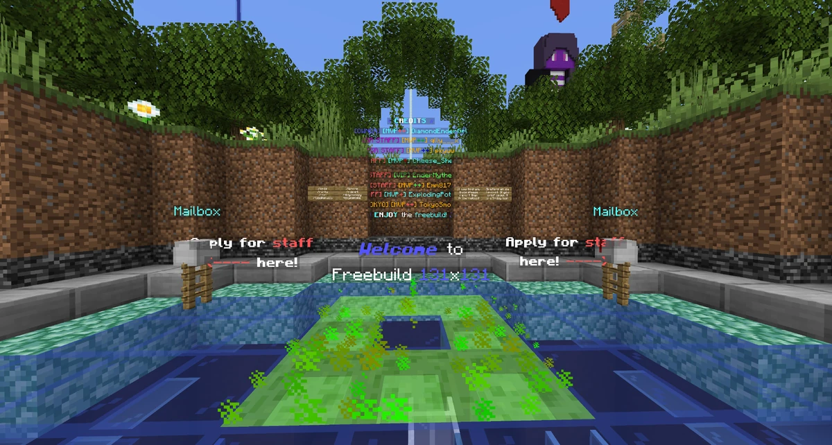 FreeBuild by DiamondEnderGrl | Hypixel Freebuild Wiki | Fandom