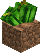 Melon | Hypixel SkyBlock Wiki | Fandom