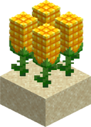 Glasscorn | Hypixel SkyBlock Wiki | Fandom