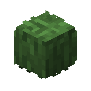 Overgrown Grass | Hypixel SkyBlock Wiki | Fandom