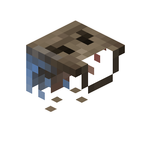 Enigma Cloak | Hypixel SkyBlock Wiki | Fandom