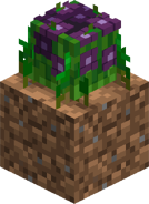 Duskbloom | Hypixel SkyBlock Wiki | Fandom