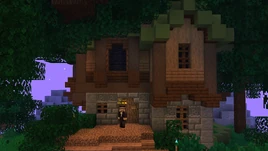 Dark Auction | Hypixel SkyBlock Wiki | Fandom