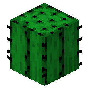 Cactus | Hypixel skyblock Wiki | Fandom