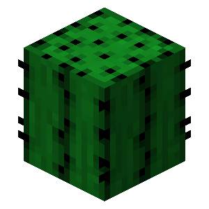 Cactus | Hypixel SkyBlock Wiki | Fandom
