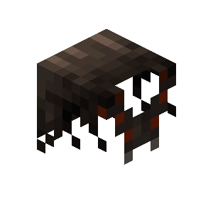 Arachne's Cloak | Hypixel SkyBlock Wiki | Fandom