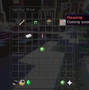 Vanity Shop | Hypixel Wiki | Fandom