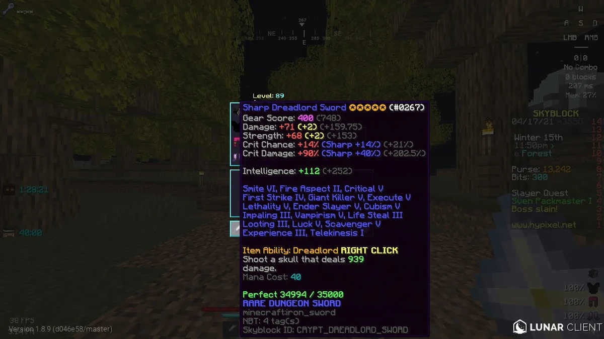 Early Game Dungeons Guide | Hypixel Wiki | Fandom