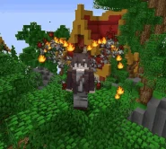 Cloaks | Hypixel Wiki | Fandom