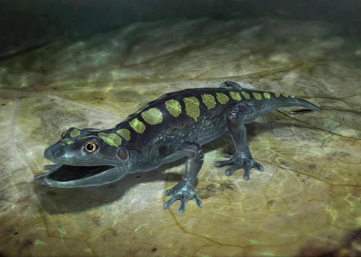 Aquatriton | Hypothetical prehistory Wiki | Fandom