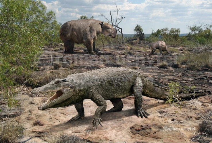 Crocoravo | Hypothetical prehistory Wiki | Fandom