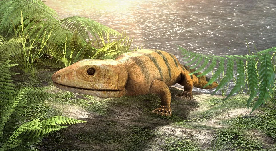 Ithyocylus | Hypothetical prehistory Wiki | Fandom
