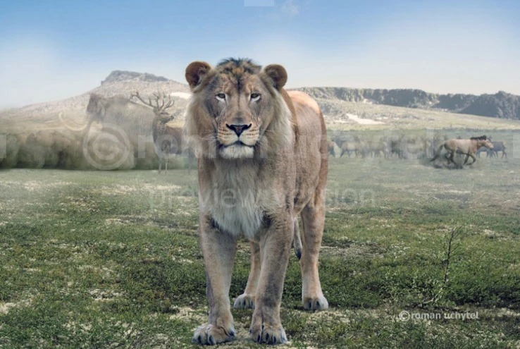 Opal's lion | Hypothetical prehistory Wiki | Fandom