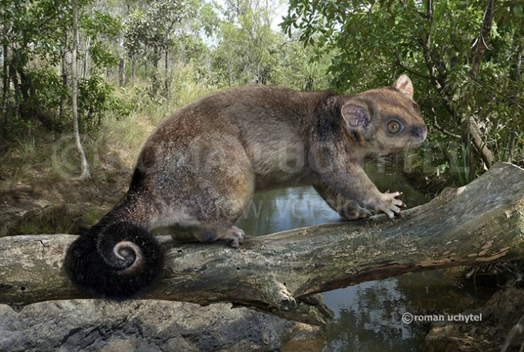 Black tailed giant loris | Hypothetical prehistory Wiki | Fandom
