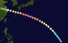 Typhoon Forrest | Hypothetical Severe Weather Wiki | Fandom