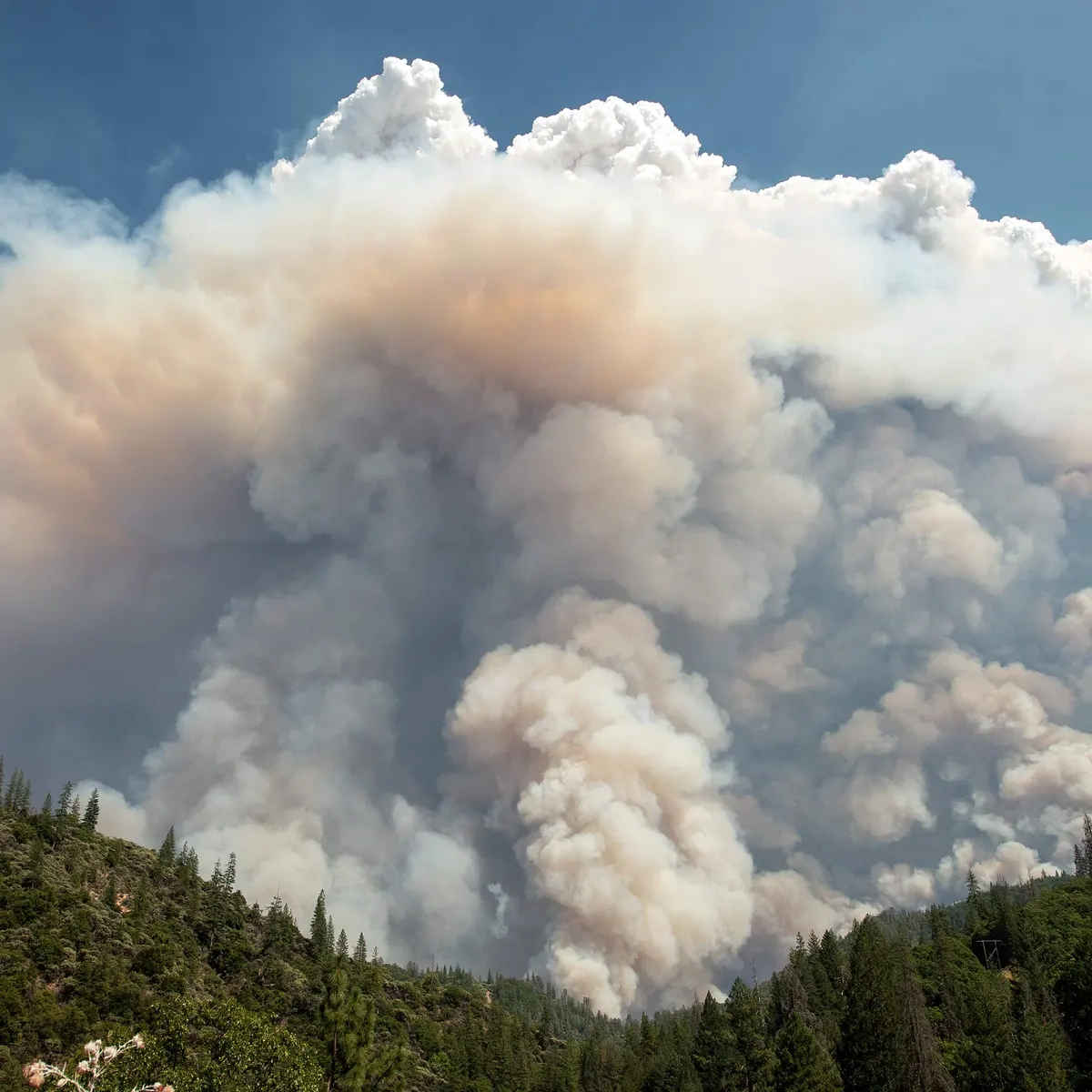 Big Pines Fire (1989) | Hypothetical Cities and Countries Wikia | Fandom