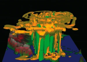 1,000,000 Atlantic hurricane season | Hypothetical Disasters Wiki | Fandom