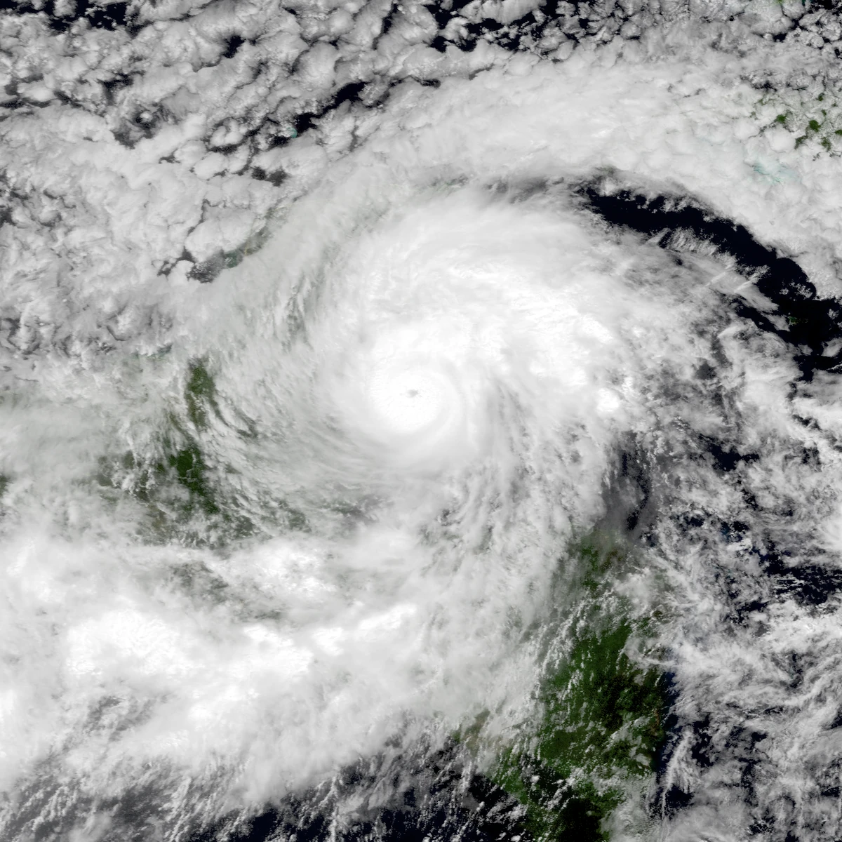 Hurricane Chris (2024) (WeatherWill) | Hypothetical Hurricanes Wiki ...