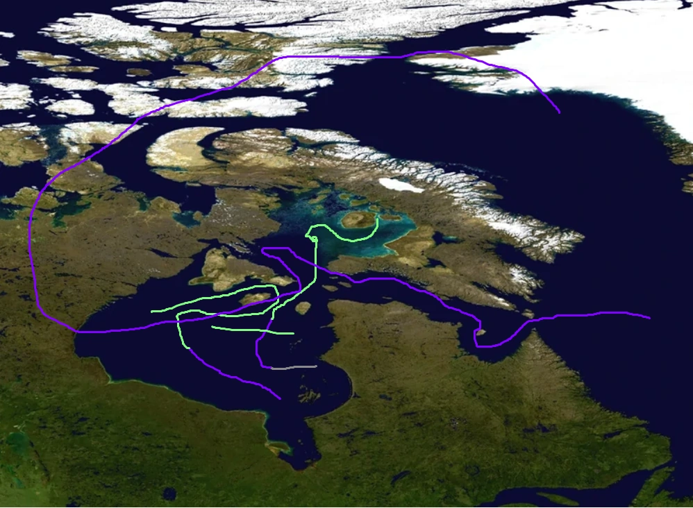 2023 Canada Subtropical Hurricane Season | Hypothetical Hurricanes Wiki ...