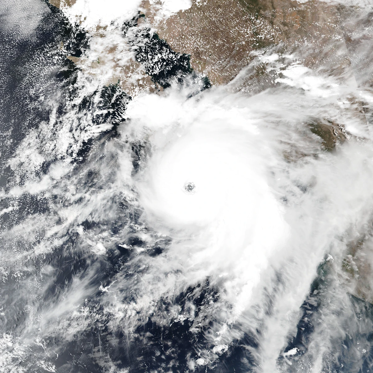 Hurricane Boris (Timothy) | Hypothetical Hurricanes Wiki | Fandom