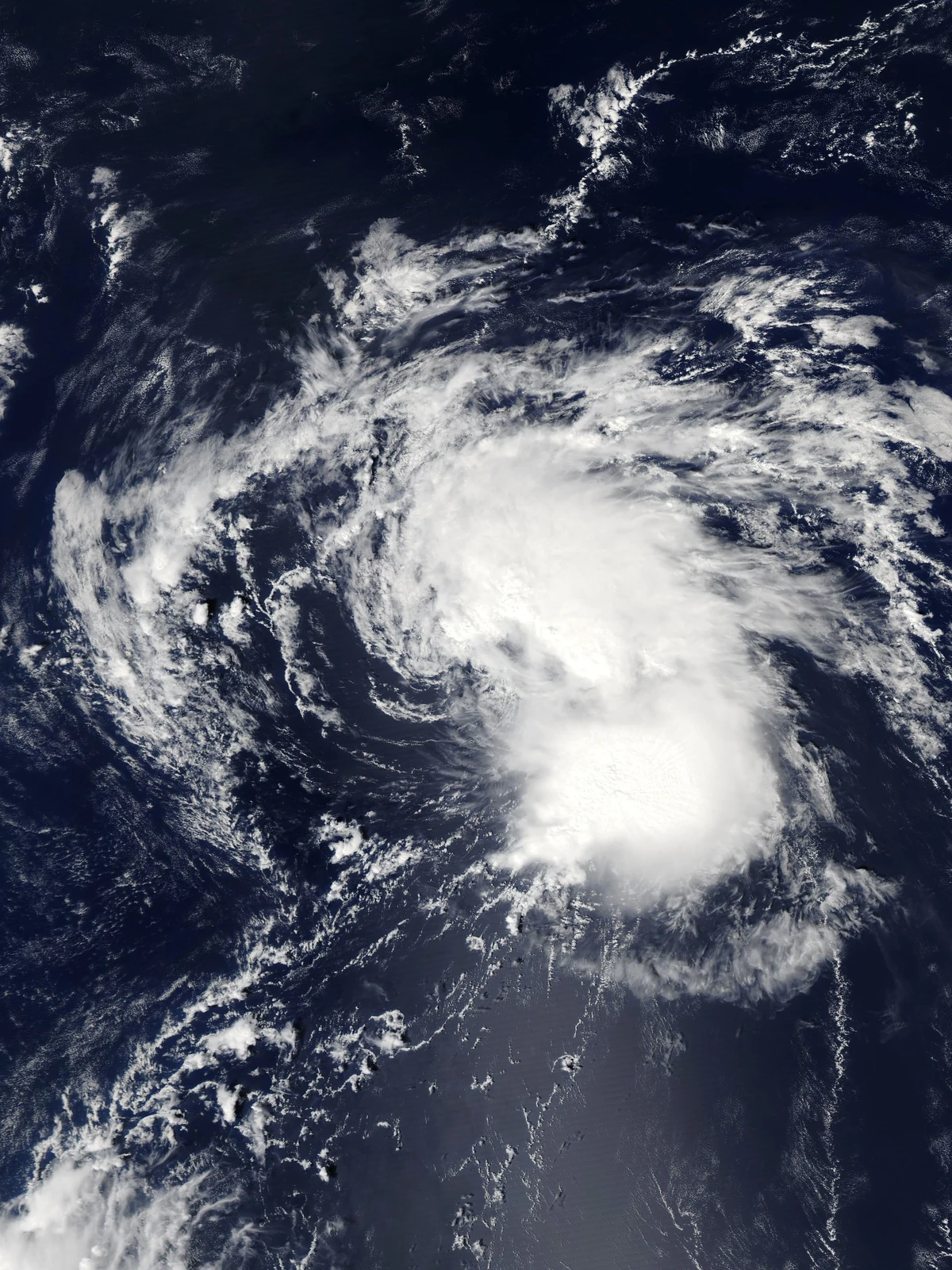 2020 TDI hurricane season (Glenstevens1231) | Hypothetical Hurricanes ...