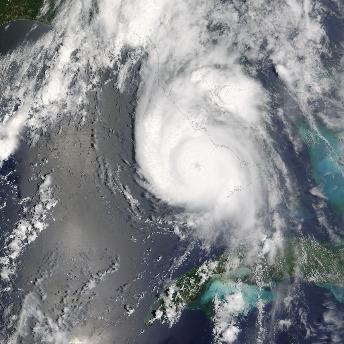 Hurricane Mickey | Hypothetical Hurricanes Wiki | Fandom
