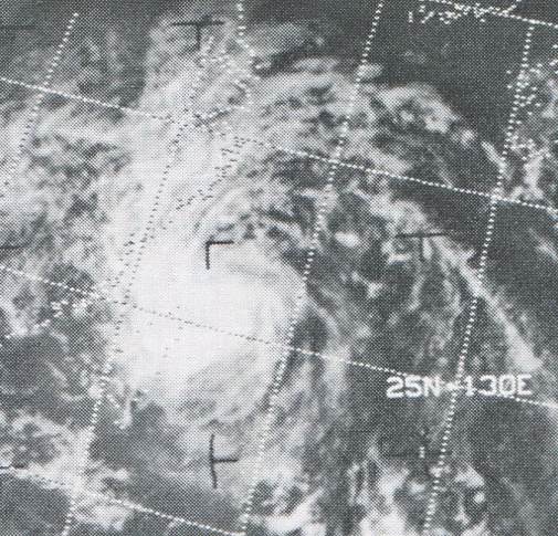 Tropical Storm Alice | Hypothetical Hurricanes Wiki | Fandom