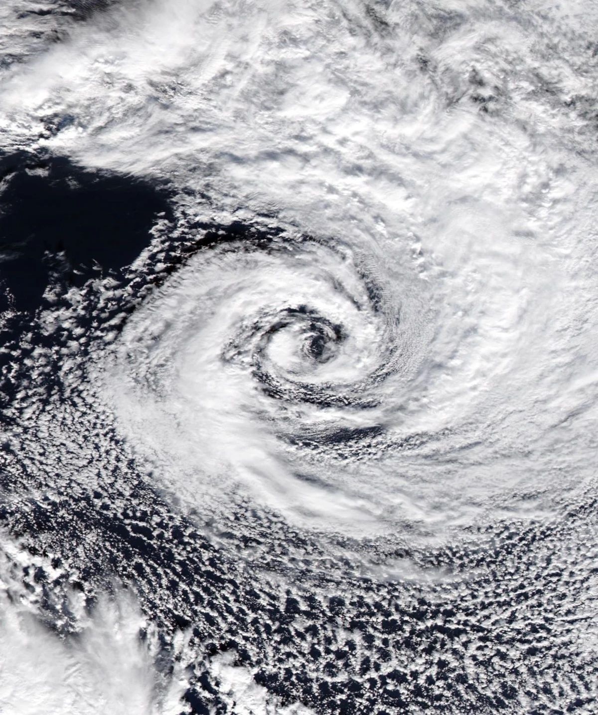 Cyclone Molview | Hypothetical Hurricanes Wiki | Fandom