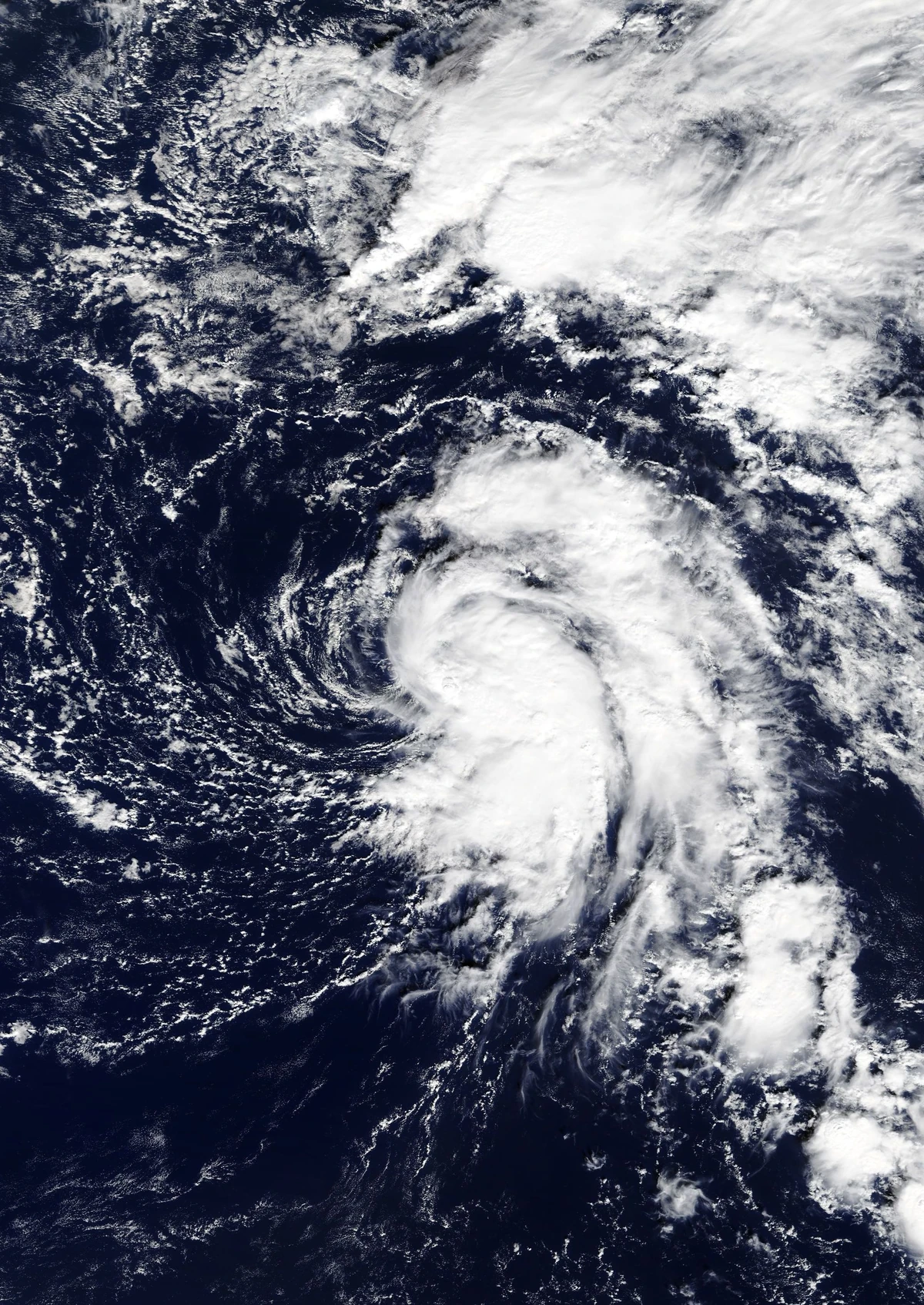 Moderate Tropical Storm James (2029) | Hypothetical Hurricanes Wiki ...