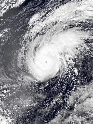 Typhoon Haikui (HurriCade) | Hypothetical Hurricanes Wiki | Fandom