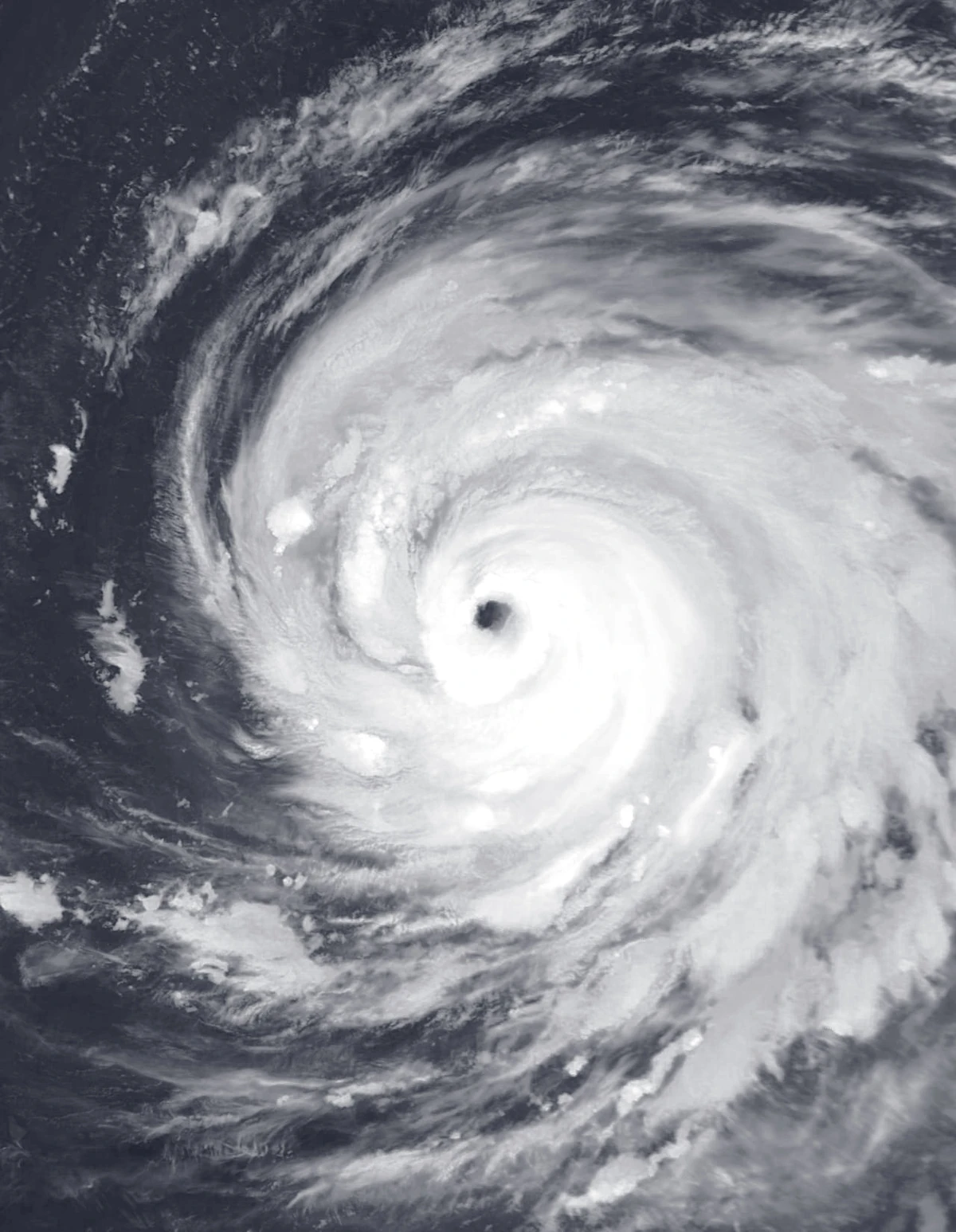 Hurricane Martin (Cooper) | Hypothetical Hurricanes Wiki | Fandom