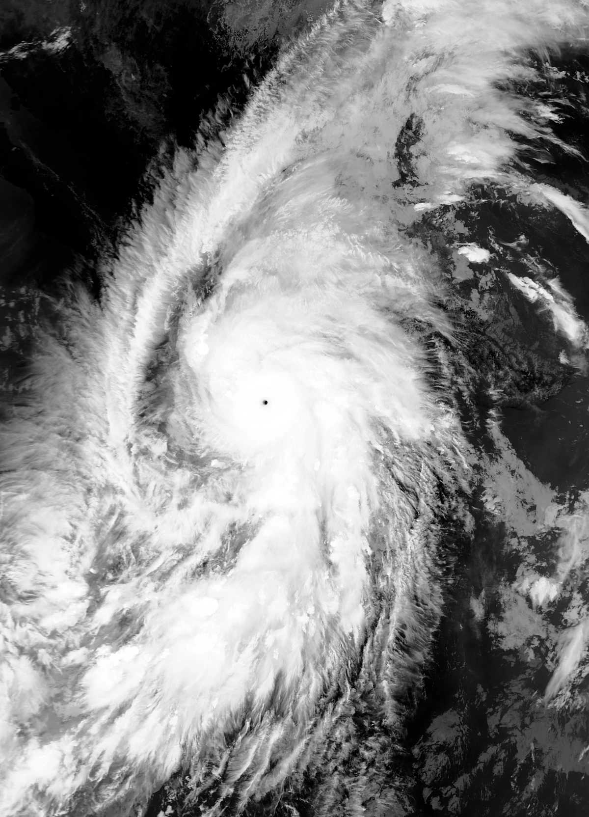 Hurricane Ryne | Hypothetical Hurricanes Wiki | Fandom