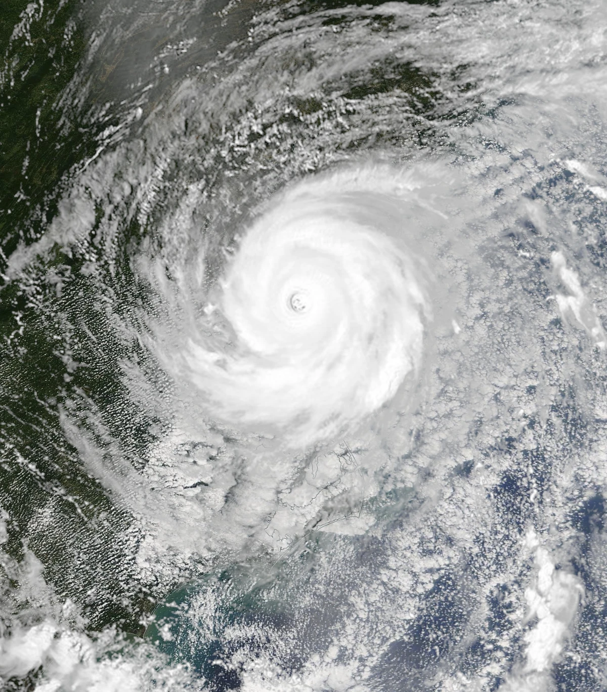 Hurricane Chantal (2025) (Kaleb) | Hypothetical Hurricanes Wiki | Fandom