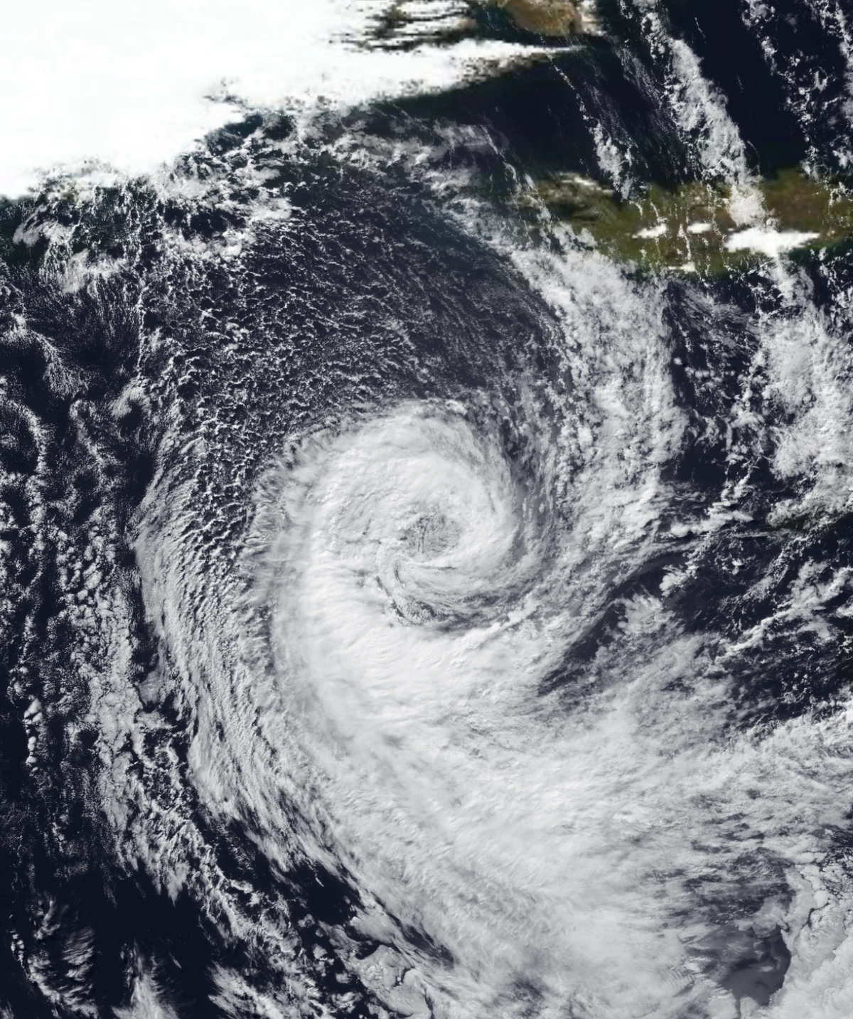 Hurricane Daniella (2028) | Hypothetical Hurricanes Wiki | Fandom